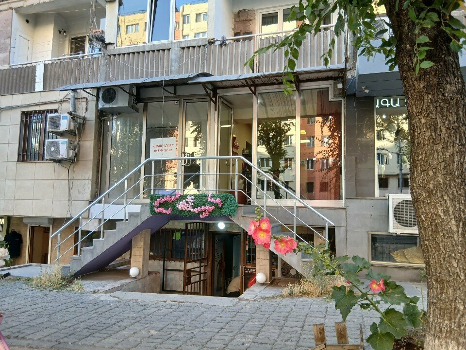 Dans okulları Գարուն, Erivan, foto