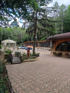 Дубрава (Sovetskaya ulitsa No:2, satul Beloci), restoran  Transdinyester'den