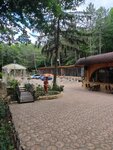 Дубрава (Sovetskaya ulitsa No:2, satul Beloci), restoran  Transdinyester'den