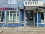 Wildberries (Sudostroitelnaya Street No:17), teslimat noktası  Moskova'dan