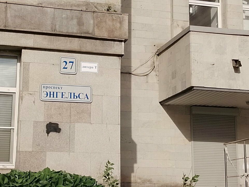 Petshop Магазин муравьев и муравьиных ферм, Saint‑Petersburg, foto