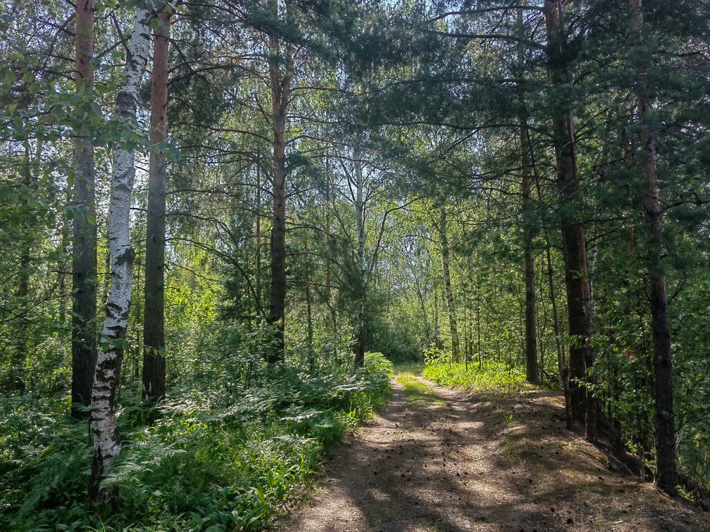 Plaj Пляж, Moskova ve Moskovskaya oblastı, foto