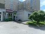 Wotan (Aleksandra Nevskogo Street No:241), bira dükkanı  Kaliningrad'dan