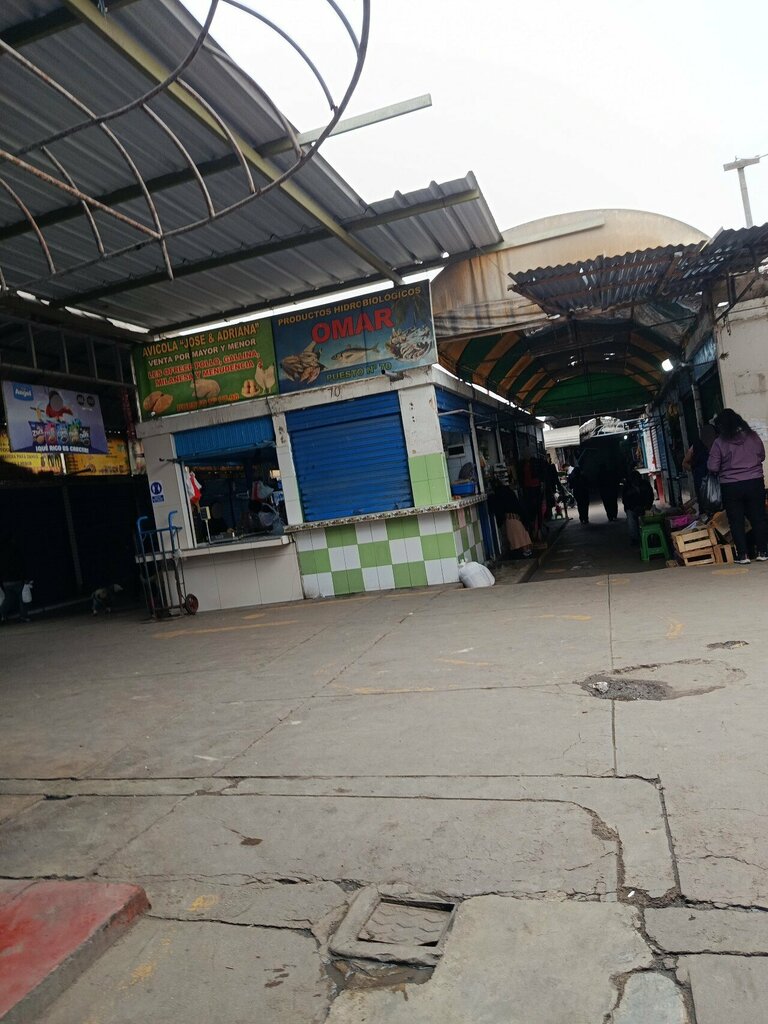 Balık ve deniz ürünleri Omar Hydrobiological Products, Lima, foto