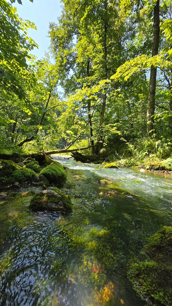 Pınar, çay Spring, stream, Başkurdistan, foto