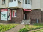 Domashny detsky Kolokolchik (ulitsa Sofyi Perovskoy No:48), anaokulları  Ufa'dan