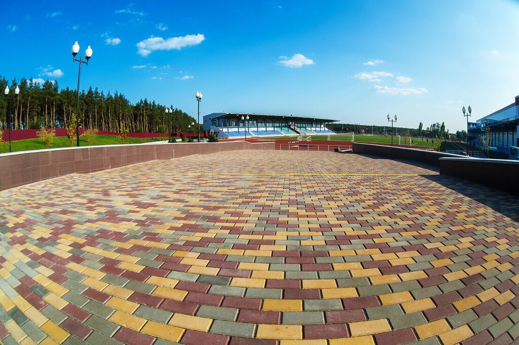 Kaldırım taşları Zenit Chernozemye, Voronejskaya oblastı, foto