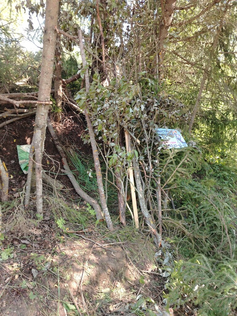 Plaj Beach, Moskova ve Moskovskaya oblastı, foto