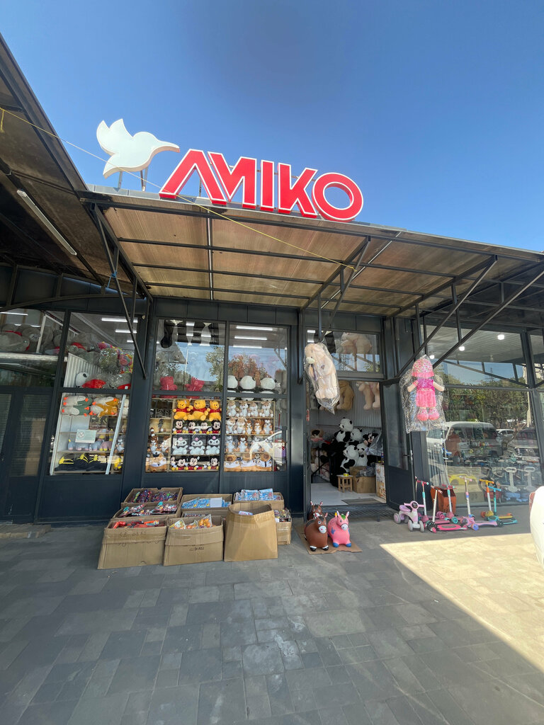Çocuk oyunları ve oyuncakları Amiko, Taşkent, foto