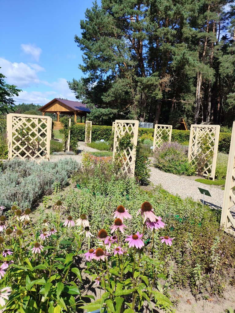 Eczaneler Аптекарский Сад, Minskaya oblastı, foto