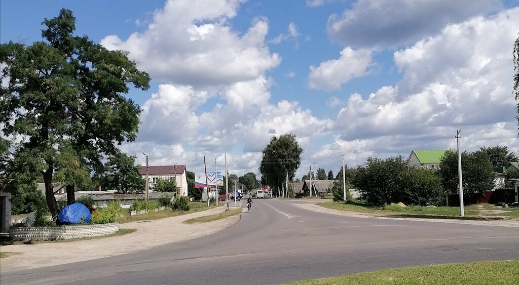 Gıda pazarı Торговые ряды, Brianskaya oblastı, foto