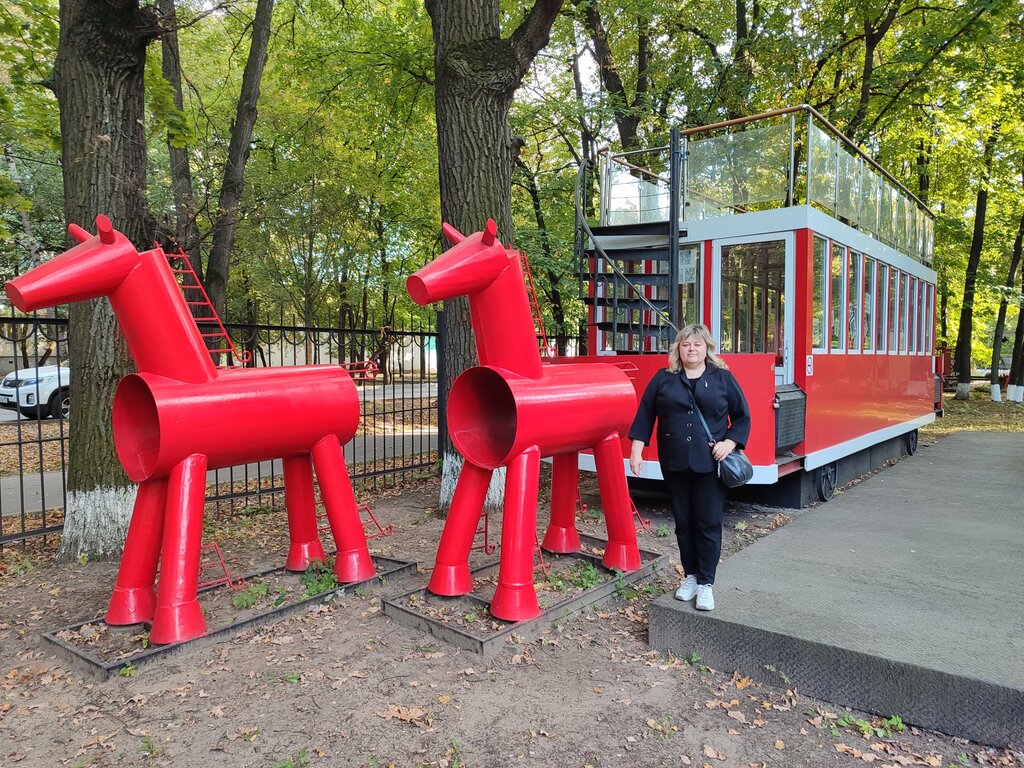 Turistik yerler Дача Ю.Ю. Вюрта, Moskova, foto