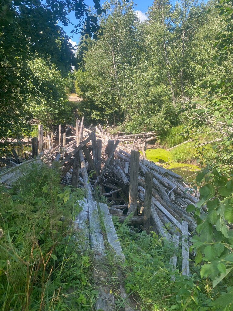 Pınar, çay Spring, stream, Karelya, foto