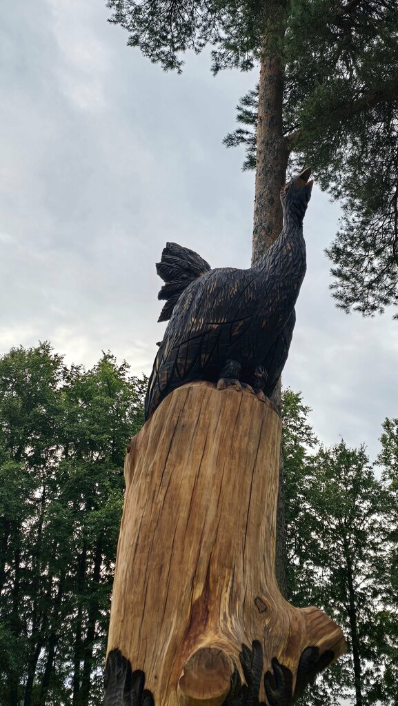 Ahşap endüstrisi Begomlsky leskhoz GLKhU, Vitebskaya oblastı, foto
