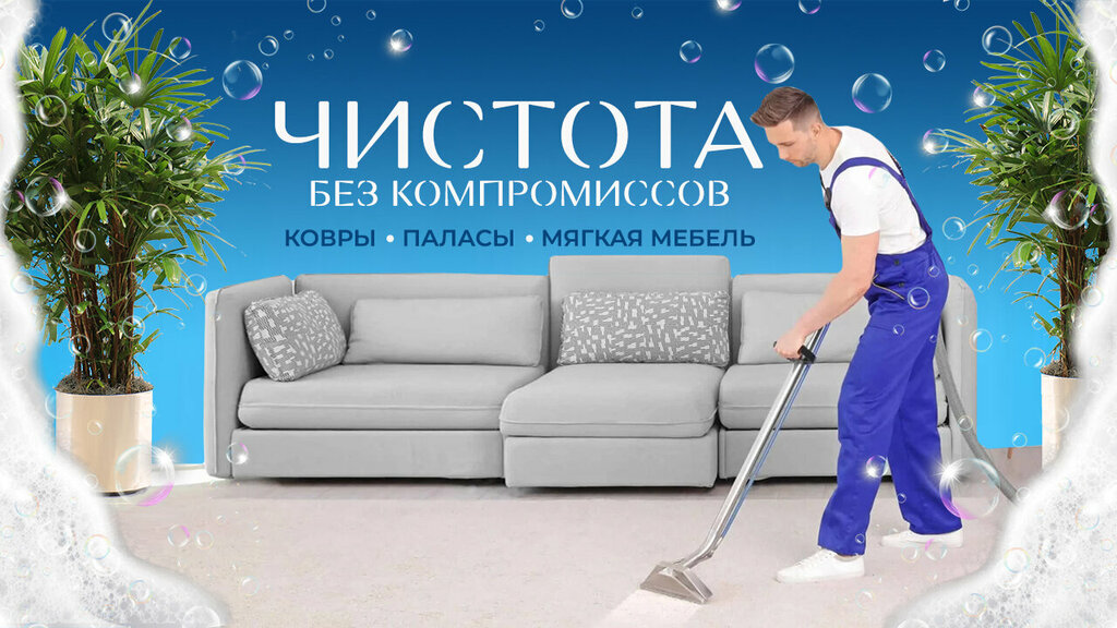 Kuru temizlemeciler Raccoon Poloskun, Nijni Tagil, foto