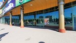 Yamaguchi (Stroiteley Avenue No:25), masaj koltuğu  İvanovo'dan