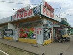 Rybnaya lavka (ulitsa Akademika Bogomoltsa No:6Б), balık ve deniz ürünleri  Volgograd'dan