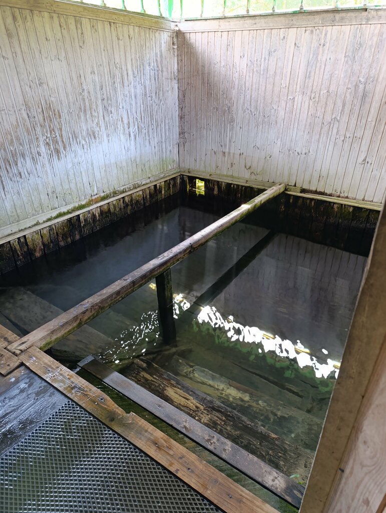 Şapel, haç anıtı Купель, Kalujskaya oblastı, foto