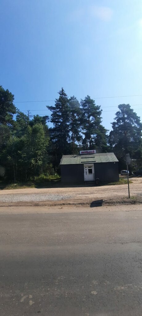 Market Матрешка, Şarya, foto