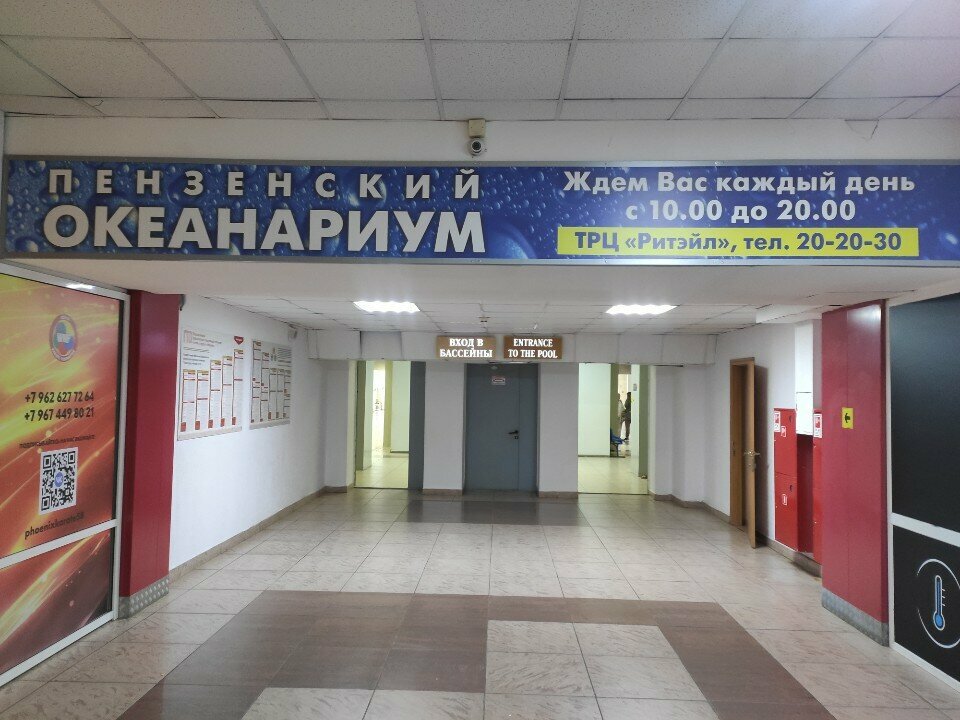 Spor okulları Shkola sinkhronnogo plavaniya, Penza, foto