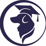 Дрессировка собак (Republic of Tatarstan, Naberezhnye Chelny, Grenada Park), köpek hizmeti  Naberejniye Çelny'den (Yar Çallı'dan)