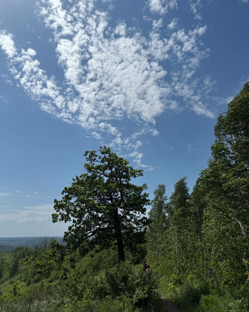 Dağ zirvesi Гора Солонцовая, Jiguliovsk, foto