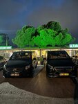 Mavipark Dinlenme Tesisleri (Işıklar Mah., Işıklar İstanbul Cad., No:53, Eyüpsultan, İstanbul), resort oteller, tesisler  İstanbul'dan