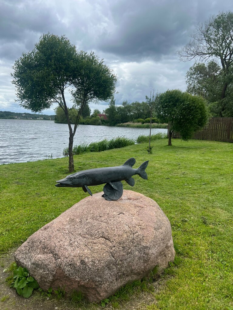 Park, sokak heykeli Щука, Sebezh, foto