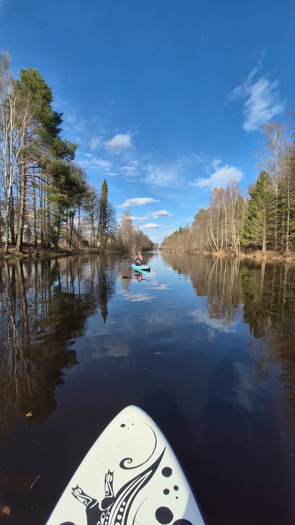 Kürek sörfü Сапсёрфинг, Arhangelskaya oblastı, foto