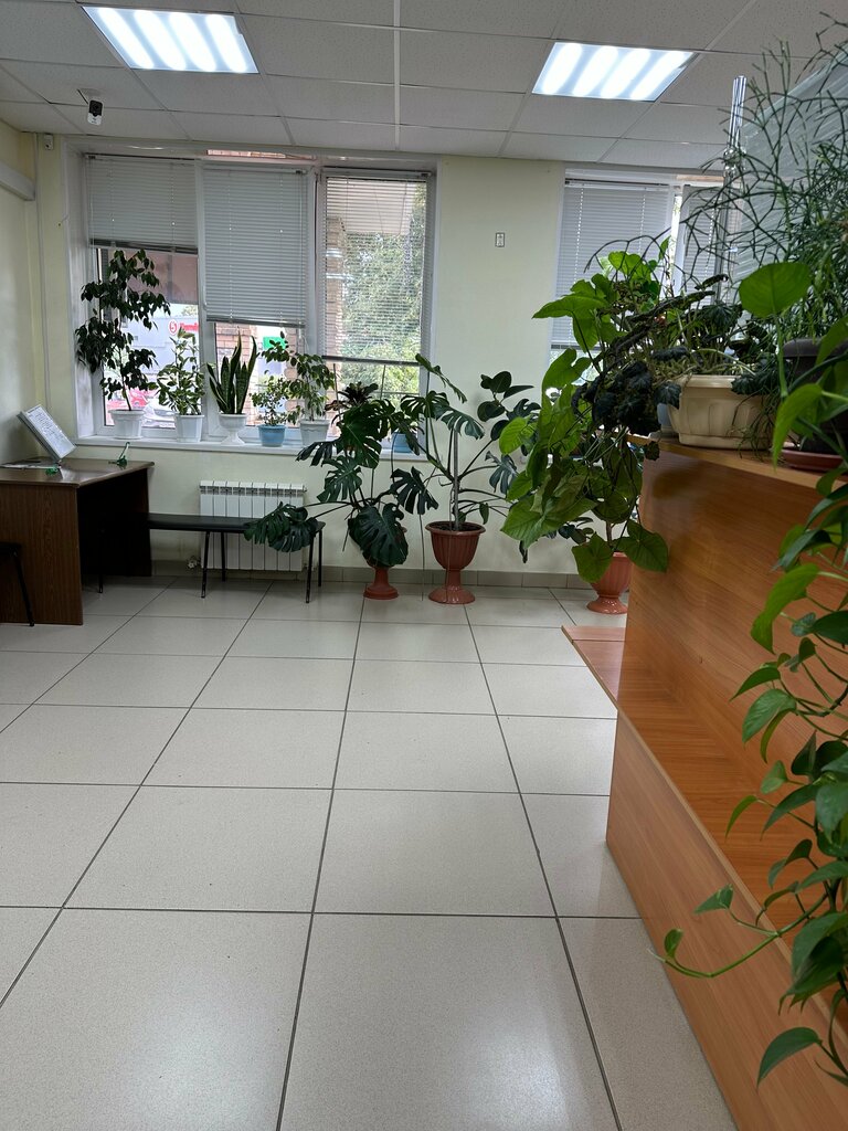 Enerji firmaları TNS energo, Pavlovo, foto