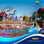 Gulf Planet Travel Agency (24, Hamdan Bin Mohammed Street, Abu Dhabi), seyahat acenteleri  Abu Dabi'den