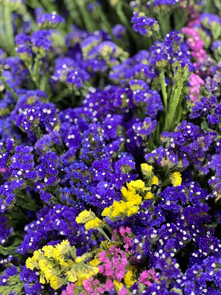 Çiçekçiler Nurjamal Flowers, Nukus, foto