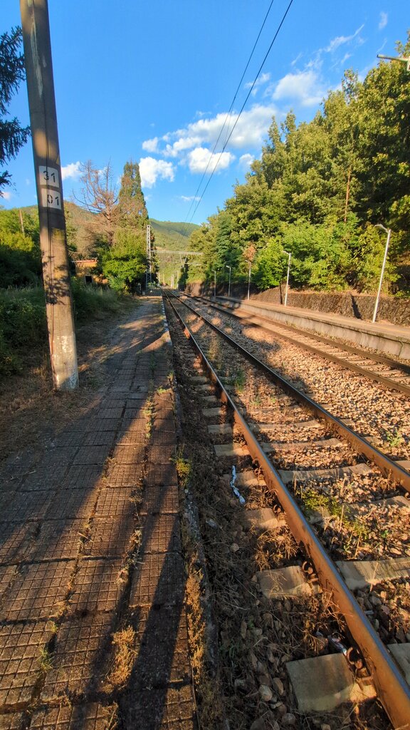 Tren istasyonu Орлин, Sofya, foto