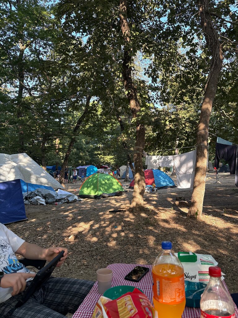 Kamp alanları Belediye Kamp Alanı, Kandıra, foto