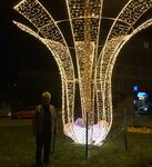 Anka Trafik (Ankara, Çankaya, Kabil Cad., 5A), elektroteknik ürün ve ekipman firmaları  Ankara'dan