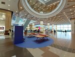 Теннисный стол (Kirovogradskaya Street No:13А), spor alanı  Moskova'dan