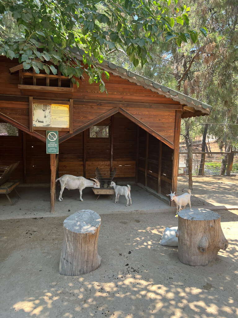 Piknik alanı Antalya Hayvanat Bahçesi Piknik Alanı, Antalya, foto