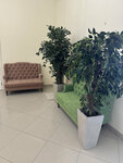 Chocoberry (Baumanskaya Street No:20с7), pasta, şekerleme ve tatlı  Moskova'dan