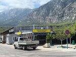 Akdeniz Balıkçılık (Antalya, Konyaaltı, Liman Mah.), balık ve deniz ürünleri  Antalya'dan