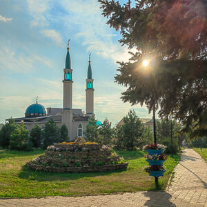 Mechet (Republic of Tatarstan, Vysokogorskiy rayon, Krasnoselskoye selskoye poseleniye, posyolok zheleznodorozhnoy stantsii Vysokaya Gora), cami  Tataristan'dan