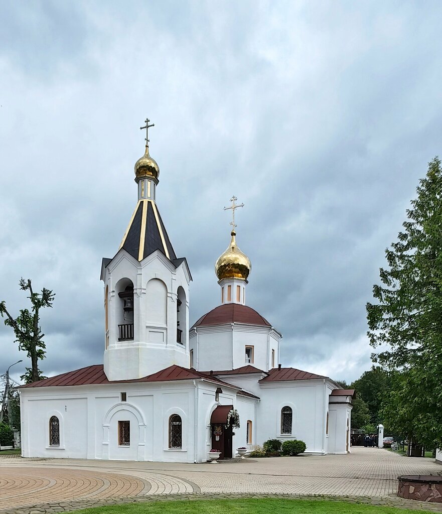 Ortodoks kiliseleri Church of the All-Merciful Savior, Moskova ve Moskovskaya oblastı, foto