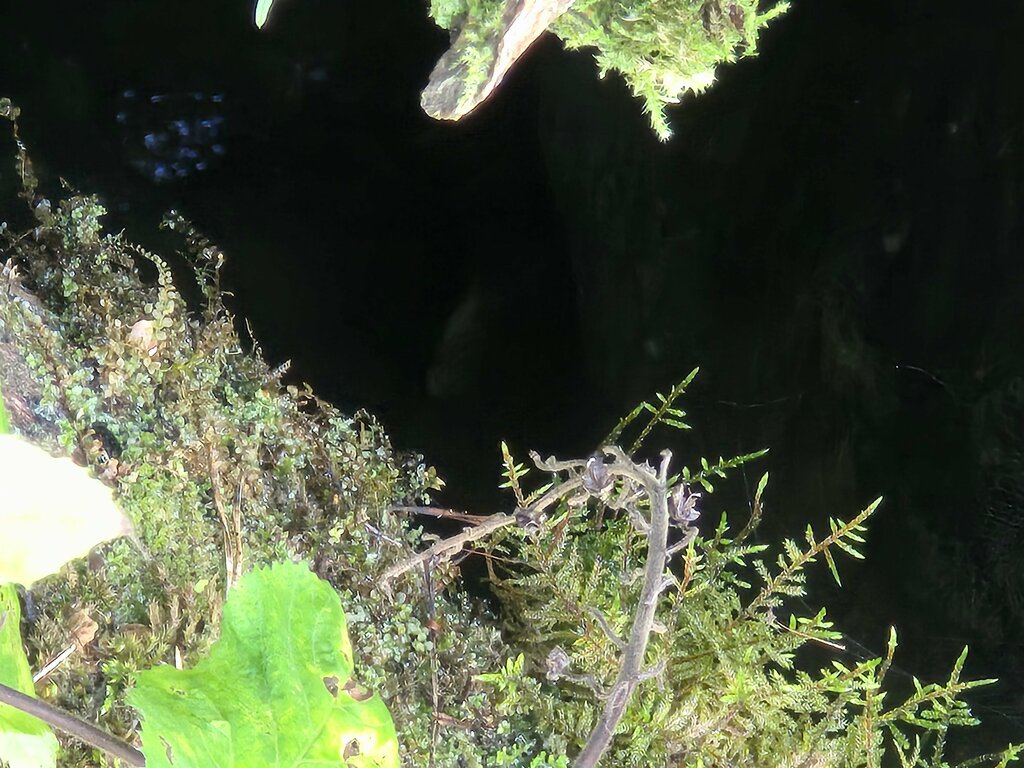 Turistik yerler Пещера Чёртова дыра, Başkurdistan, foto