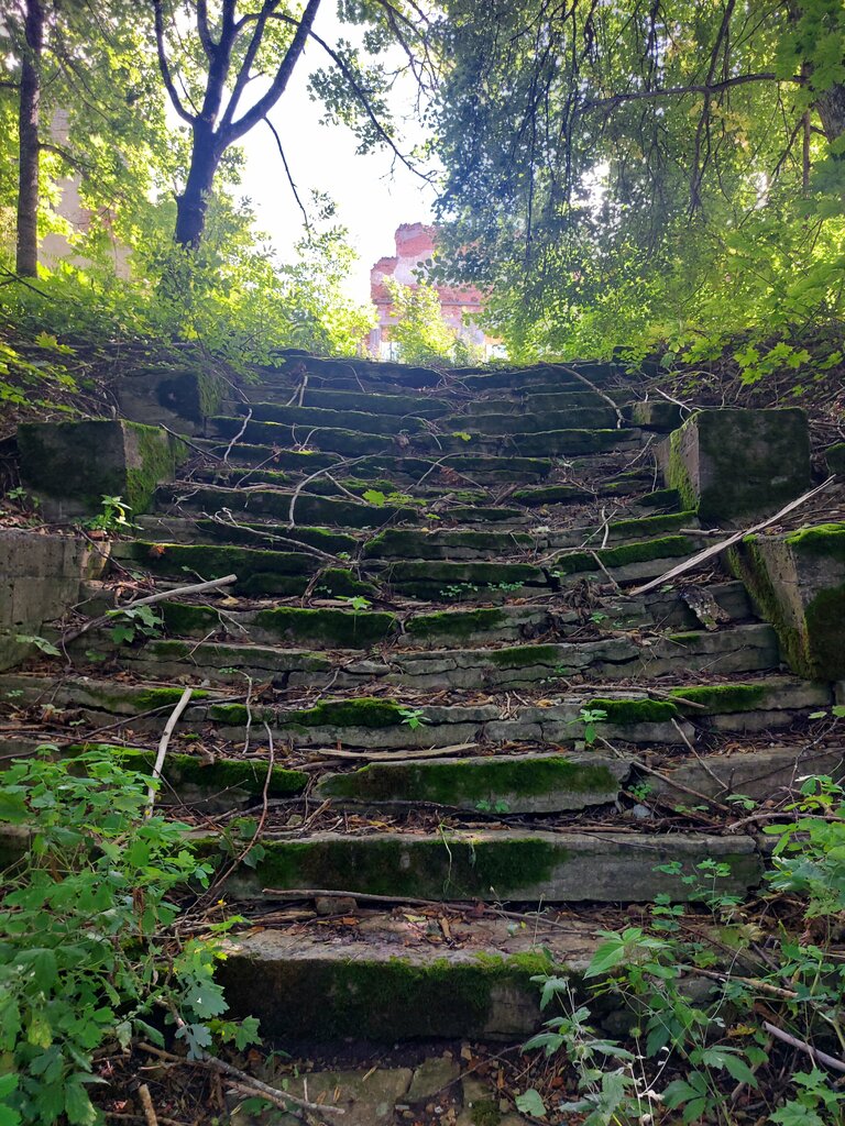 Turistik yerler Лестница к парку, Saint‑Petersburg ve Leningradskaya oblastı, foto