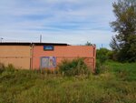 Продажа саженцев (Sadovaya ulitsa No:7В, posyolok Opytnoye Pole), bahçecilik mağazaları  Krasnoyarski krayından