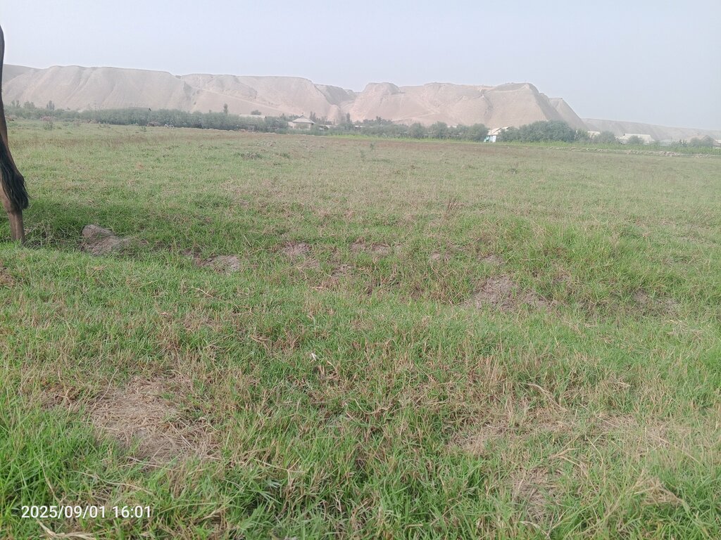 Belediyeler, devlet daireleri Исполнительный орган государственной власти района А. Джоми, Hetlân (Hatlon) ili, foto