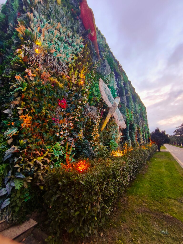 Restoran Geo.Graphia, Batum, foto
