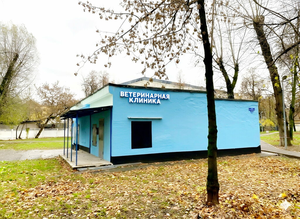 Veteriner klinikleri Максим, Moskova, foto