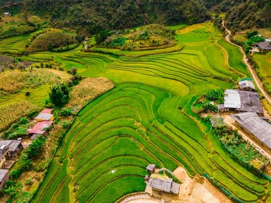 Otel Lam Ecolodge, , foto