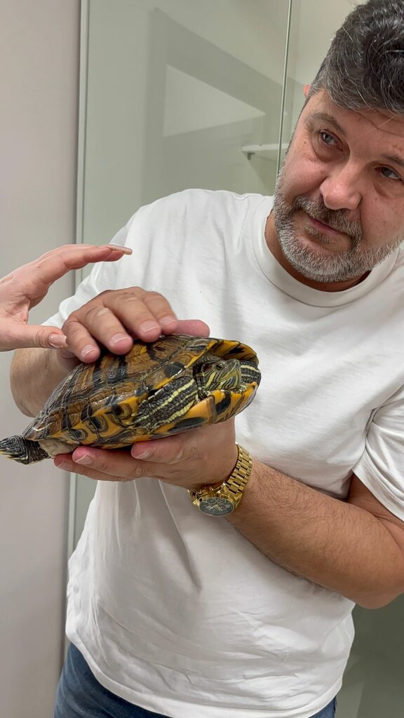 Pet otel Aristo H&g, Vladivostok, foto