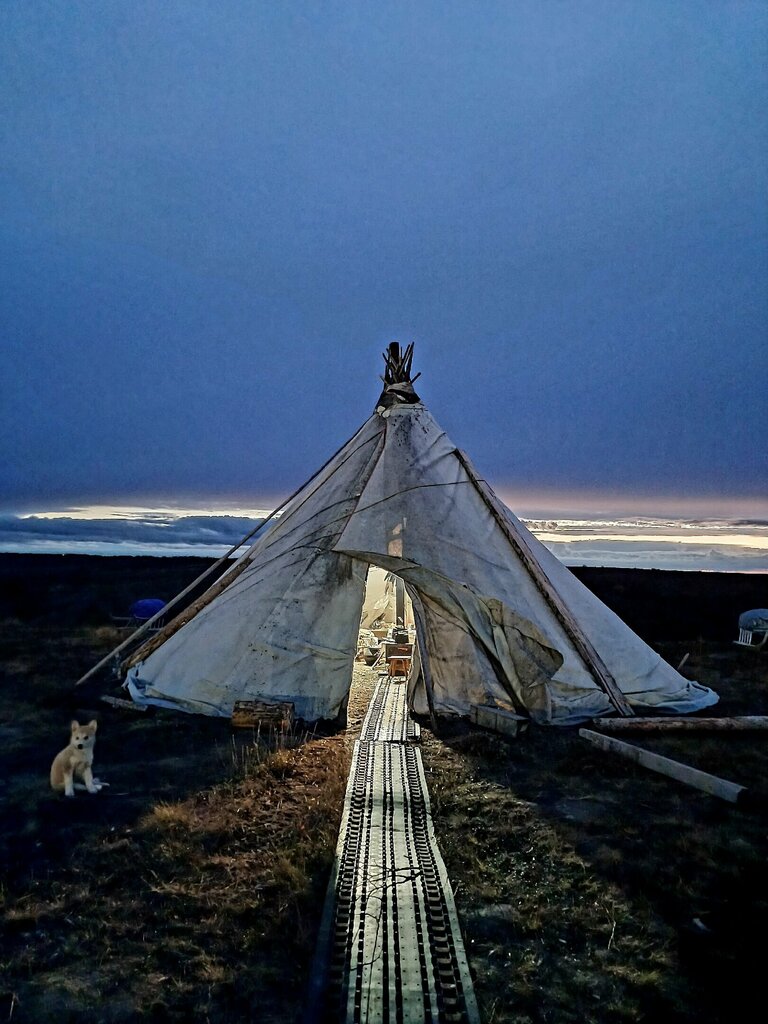 Konuk evi Тато, Yamal‑Nenets Özerk Bölgesi, foto